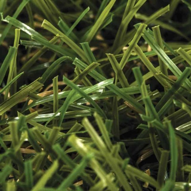 Tropical 40 - Rymar USA